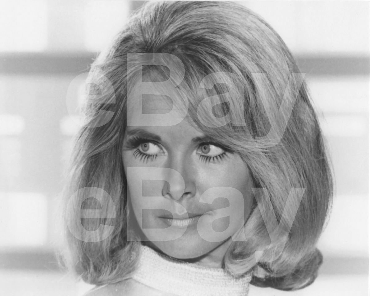 Wanda Ventham 10x8 Photo | eBay